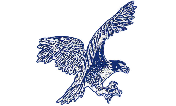 Delaware Blue Hawks - Deaf Sports Logos